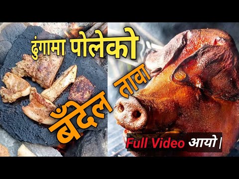 Nepali Pork Tawa Vlog at Ghatichhina, Pokhara | ढुंगामा पोलेको बँदेल ...