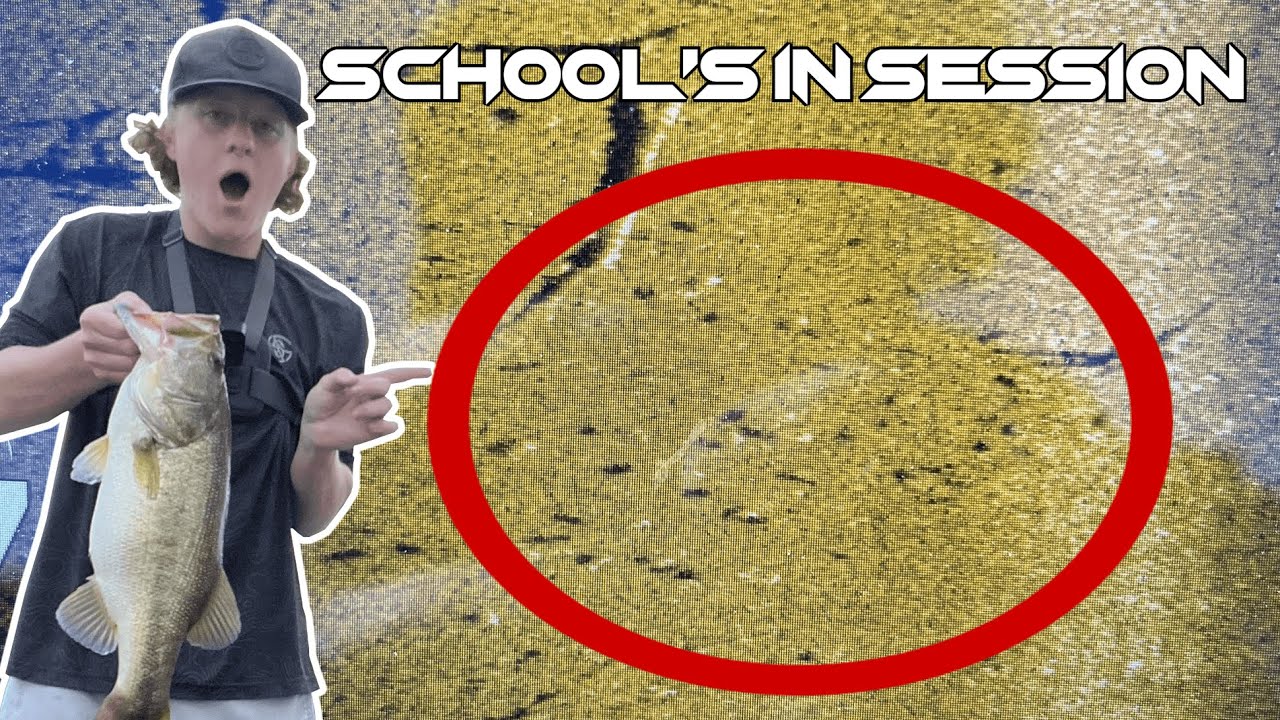 HOW to CATCH BASS OFFSHORE!! (Simplified) - YouTube