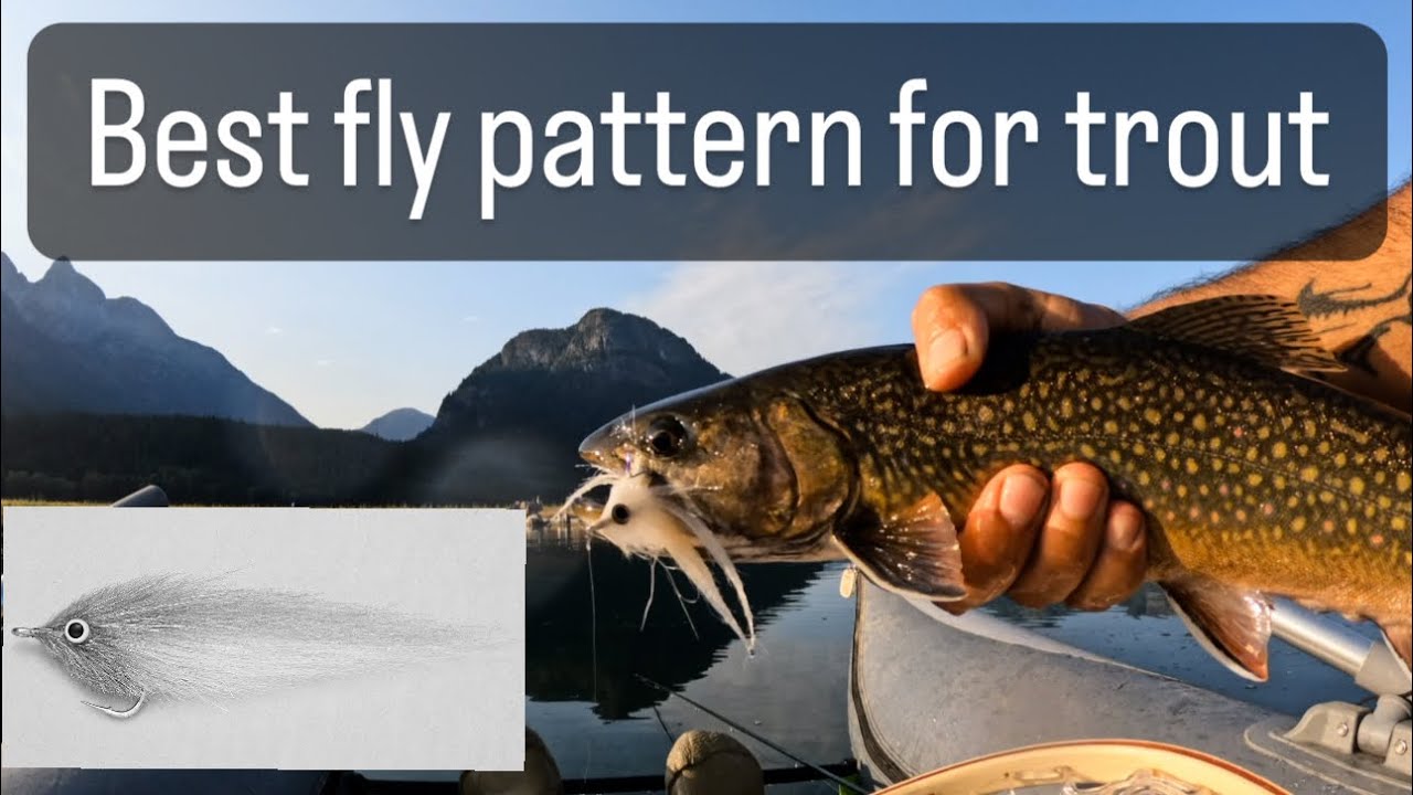 Best fly pattern for bull trout , brook trout and rainbow trout in ...