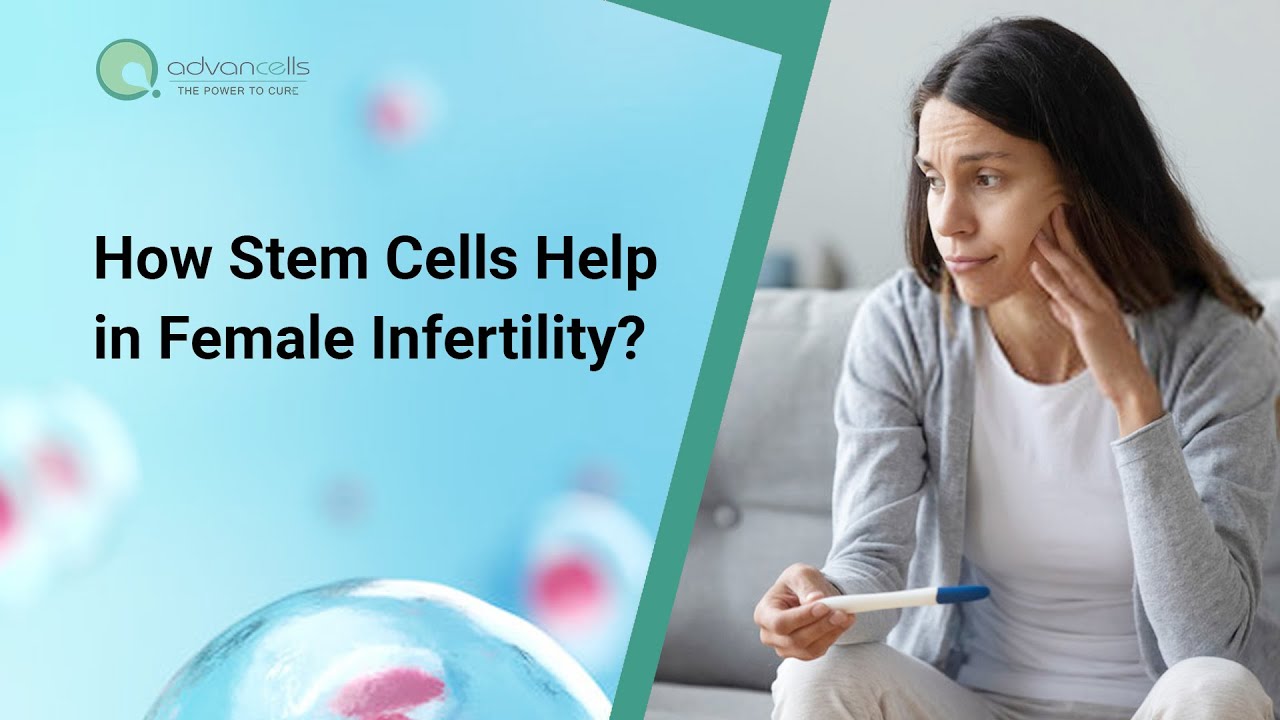 #Femaleinfertility | How Stem Cells Help in Female Infertility? # ...