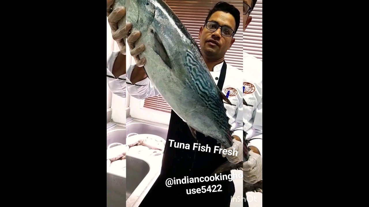 Tuna Fish Fresh 12kg #indianfood #arabicfood #seafishing #seafish # ...