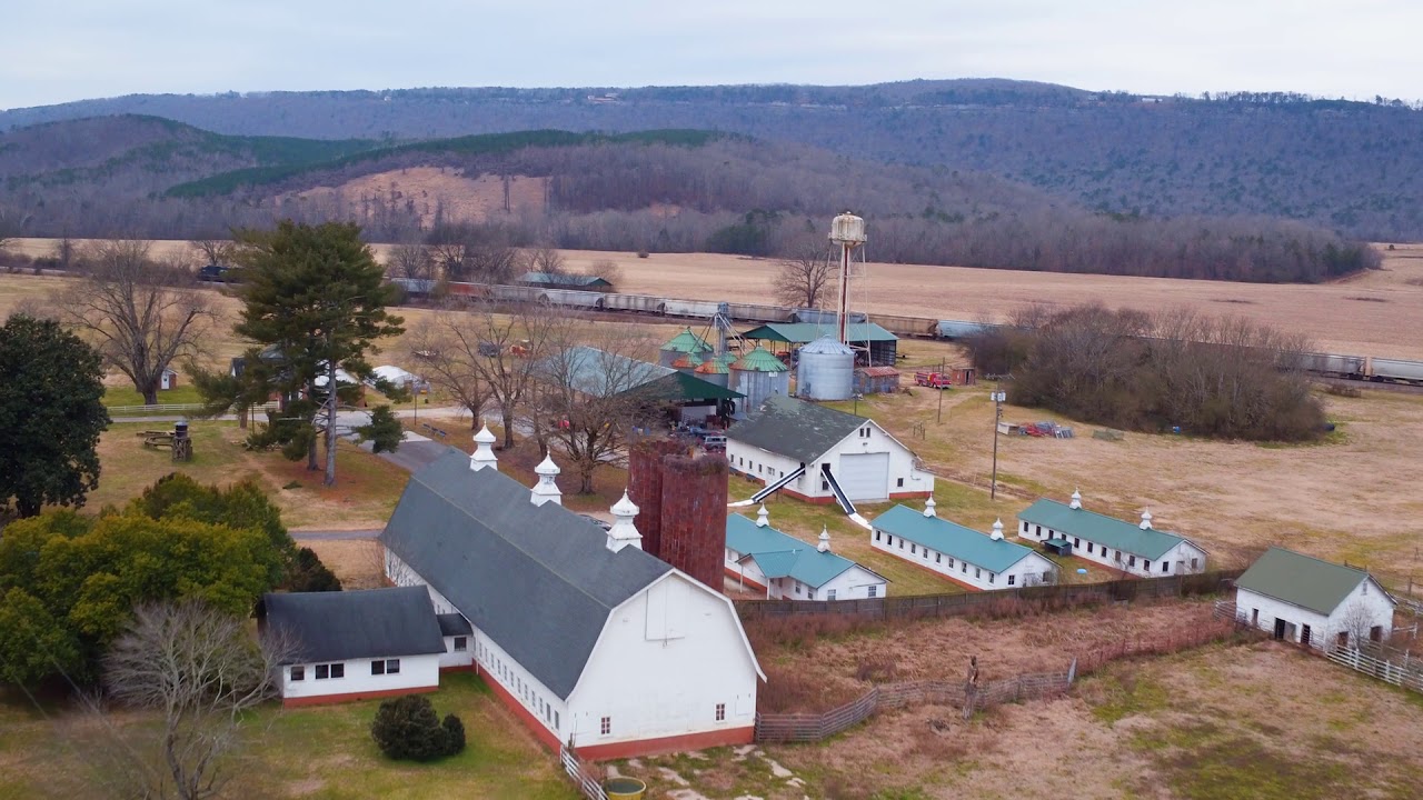 McDonald Farm - YouTube
