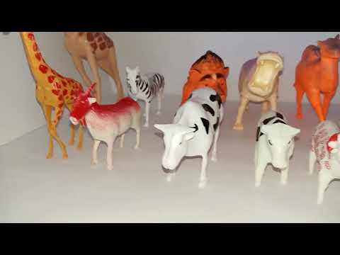 Unboxing Animal toy - Lion,Tiger,Camel,Cow, Hippopotamus.....etc