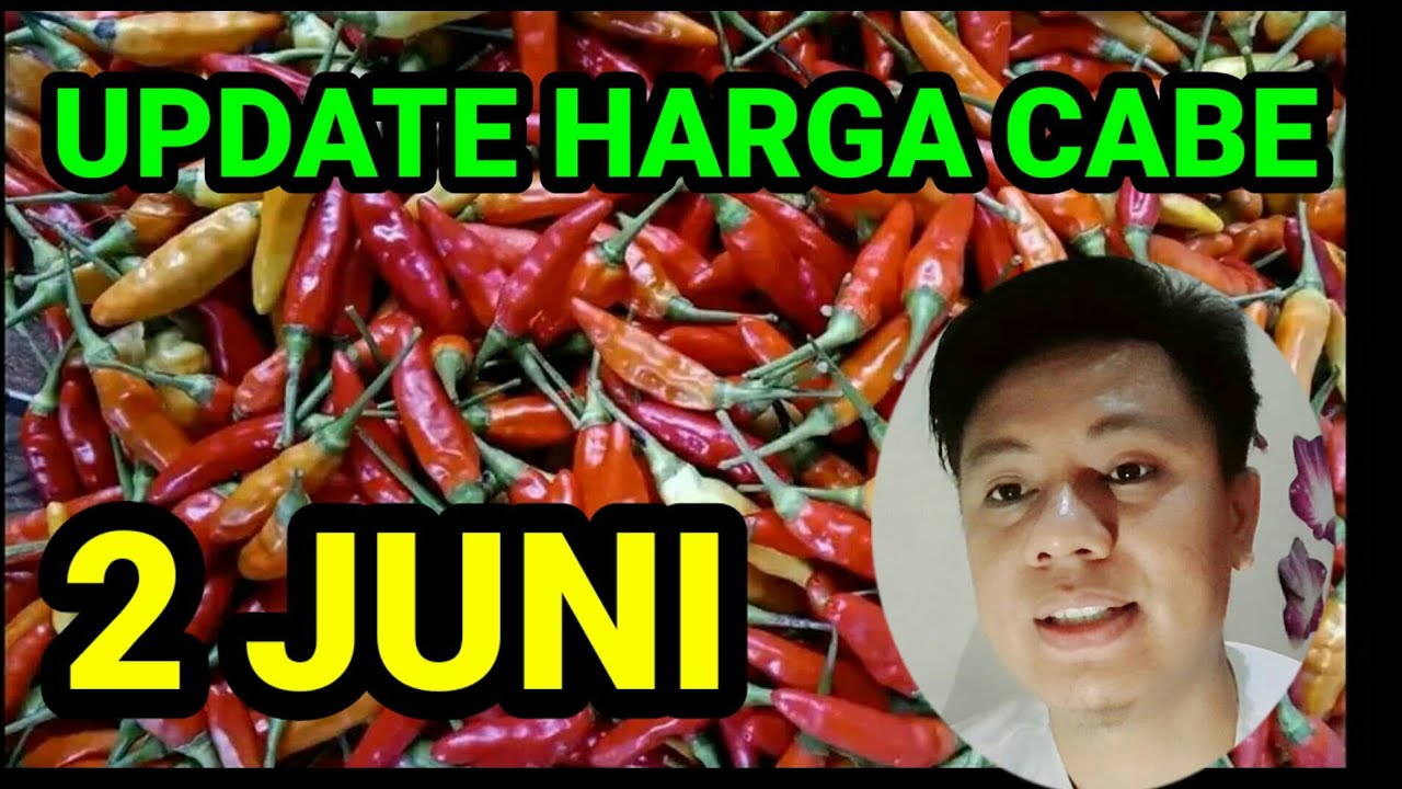 PERKEMBANGAN harga cabe rawit hari ini 2 Juni 2023 di pasar induk pare kediri jawa timur - YouTube