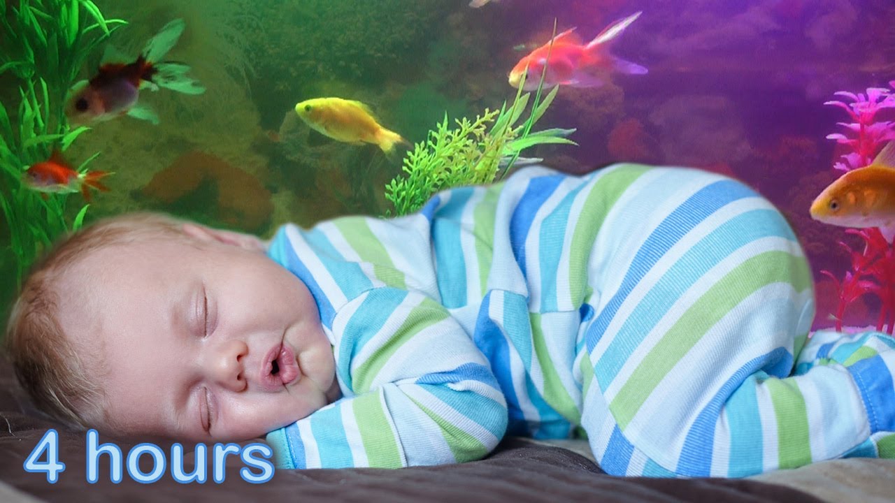 Calm Baby SLEEP MUSIC 🌙 Baby Lullaby and Freshwater Aquarium 🐠🌊 Bedtime ...