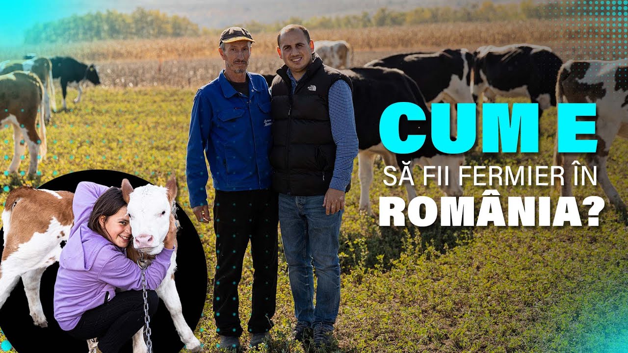 Cum e să fii fermier în România? | De la 2 vaci, la 25 - YouTube