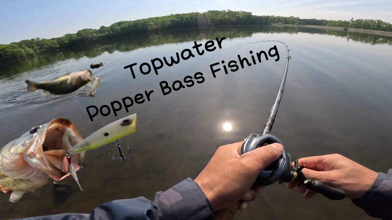 Topwater Popper Bass Fishing｜Bed Fishing for Bass｜Chatterbait Bass ...
