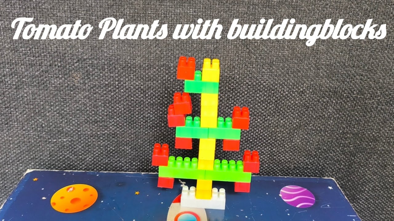 Satisfying DIY blocks Tomato plants|Buildingblocks|Blockvedio|Blocktoys ...