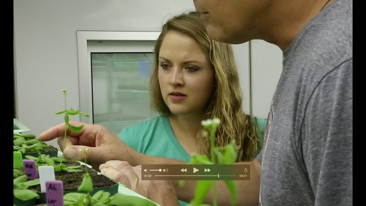 Microbiology Major: Meet Kate - YouTube