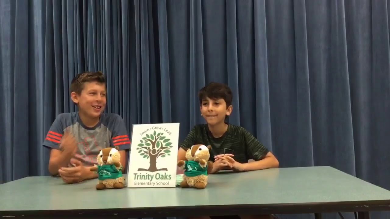 Trinity Oaks Elementary School Live Stream - YouTube
