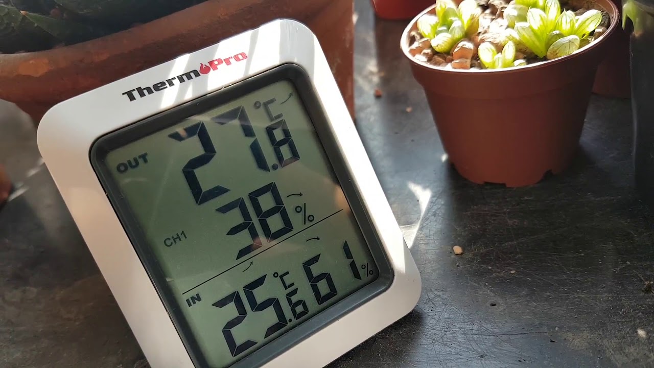 Thermopro TP60/TP60S 6 Month Review - YouTube