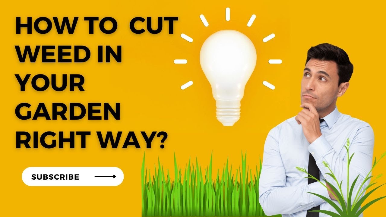 How to cut weed in your garden perfect way? - YouTube