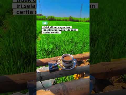 #sorotan #video #firall