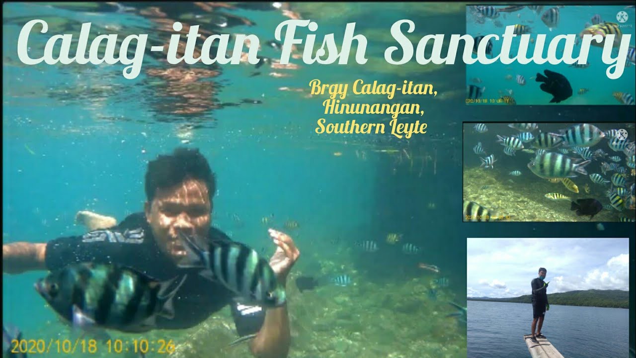 Bike trip to Calag-itan | Calag-itan Fish Sanctuary | Hinunangan ...