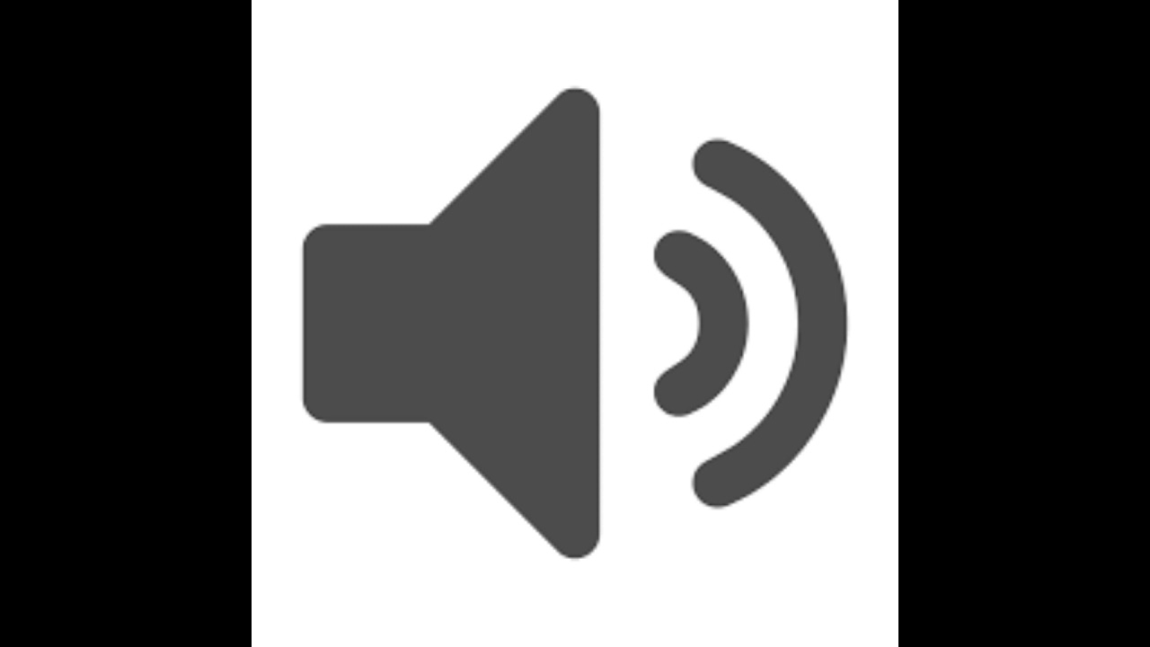 DOLPHIN BEEP sound *MEME* - YouTube