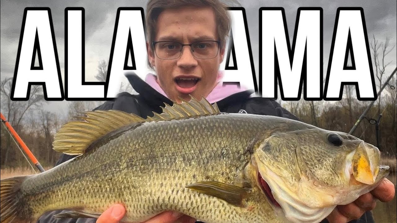 The Most Popular Fish To Catch In Alabama! - YouTube
