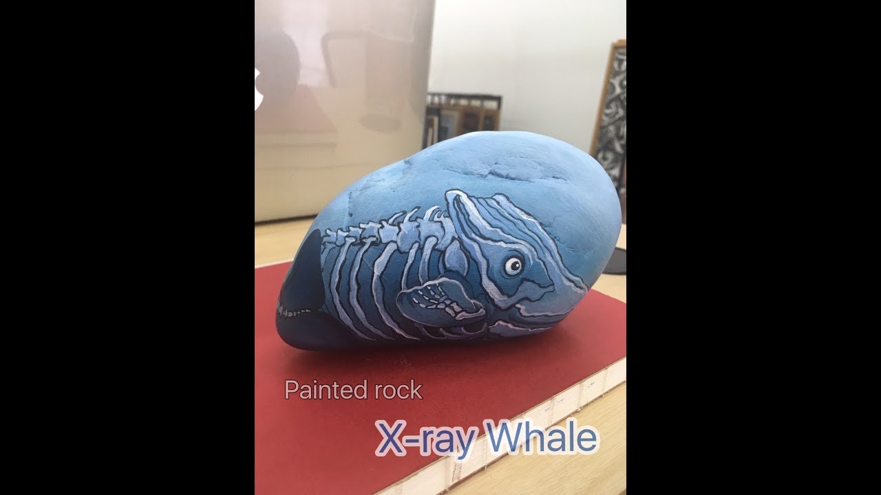 X-ray Whale on rock - YouTube