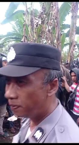 KEBLAK KEBLAK KUKURUYUK MACAN SANGAR‼️‼️‼️ - YouTube