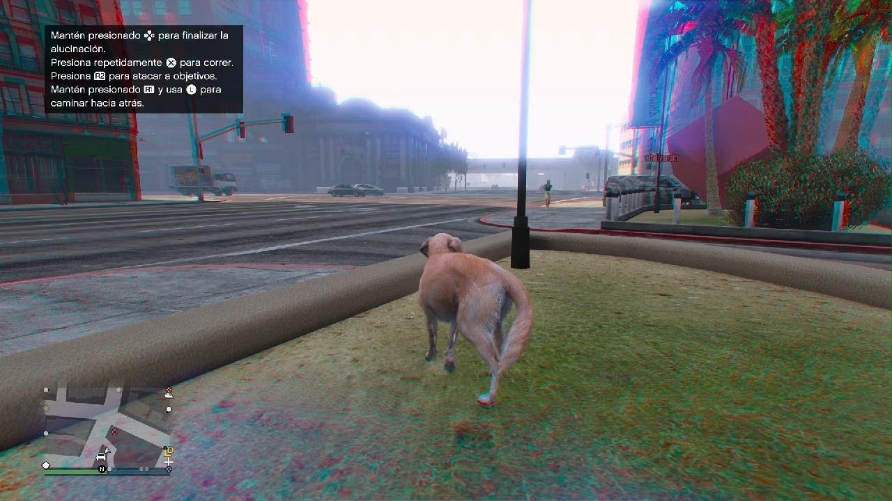 Grand Theft Auto V Peyote labrador - YouTube