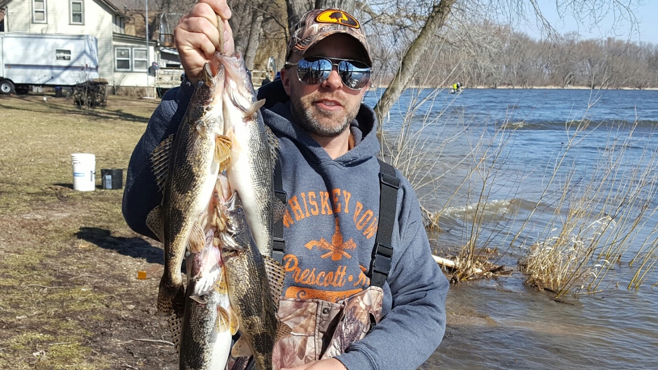 Three way rigging sauger/walleye - YouTube