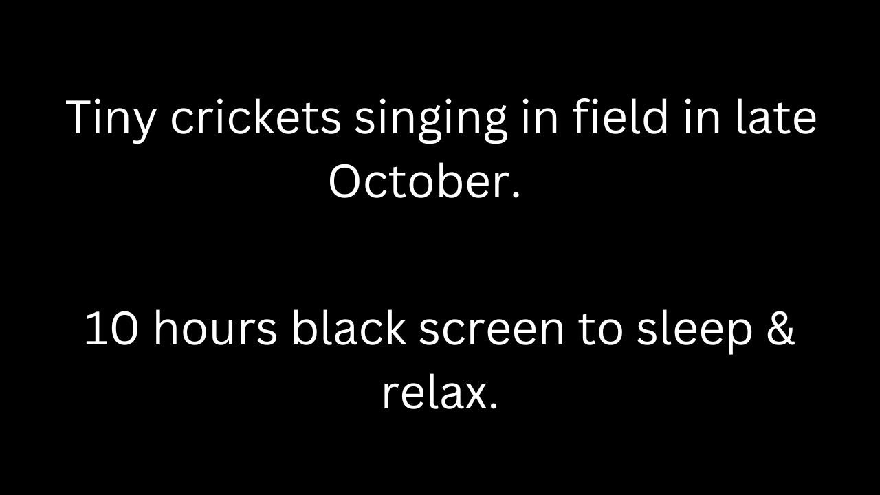 Tiny crickets singing in field in late October cricket sounds 10 hours ...