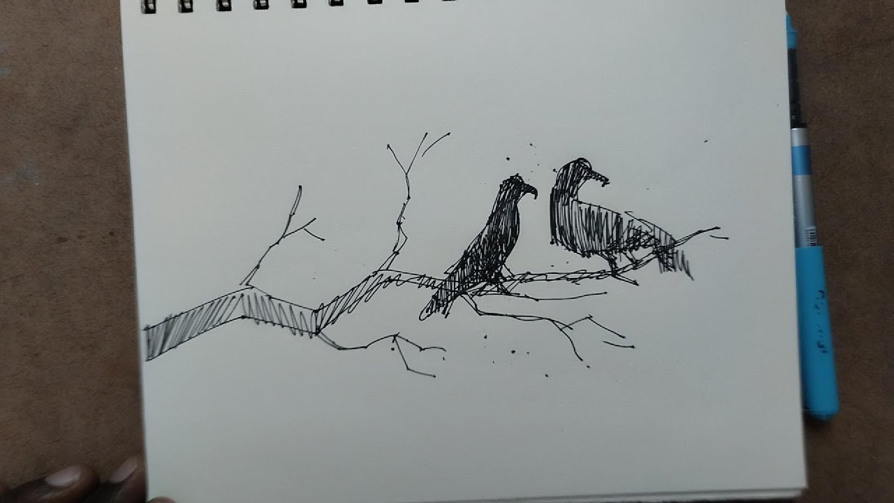 Quick bird sketch by pen | Quick pen drawing - YouTube