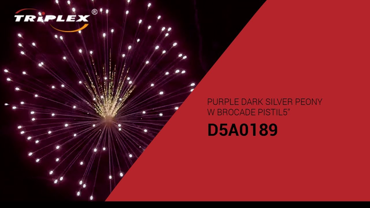 FAJERWERKI D5A0189 PURPLE DARK SILVER PEONY W BROCADE PISTIL TRIPLEX ...