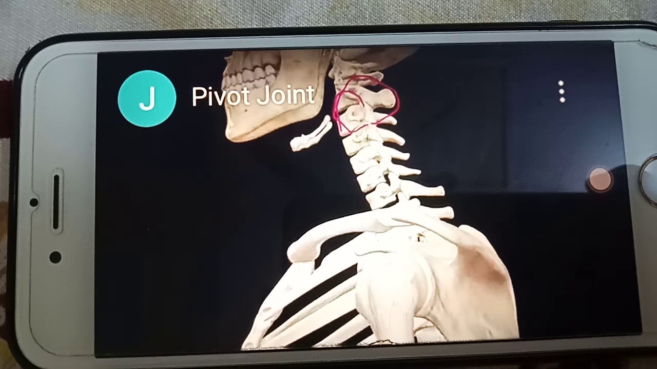 Class-5_Ch-4_Our Skeletal System (Part-7) - YouTube