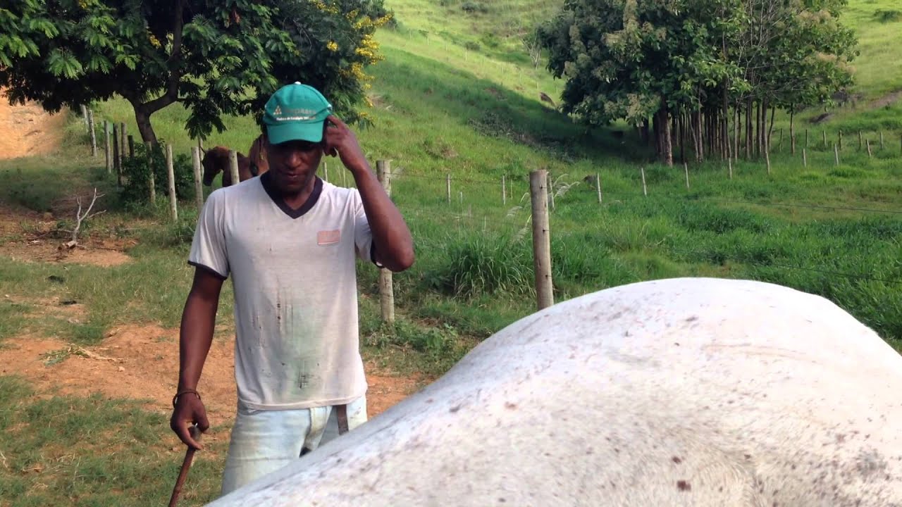 paulo lago e jaguar - YouTube