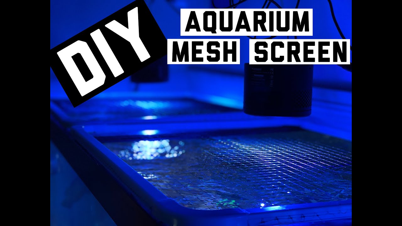 DIY Freshwater Saltwater Reef Aquarium Mesh Screen Top - YouTube