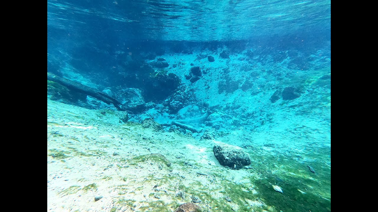 Fanning Springs State Park - YouTube