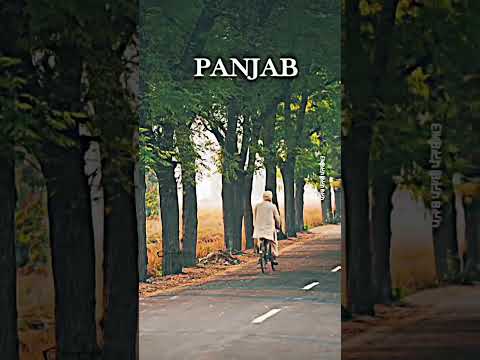 Old Punjab Status old punjabi culture Whatsapp Status punjabi status