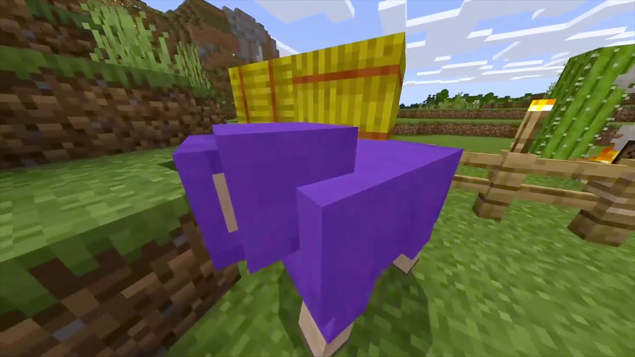 How To Make Rainbow Sheep - Minecraft Tutorial (Java & Bedrock) - YouTube