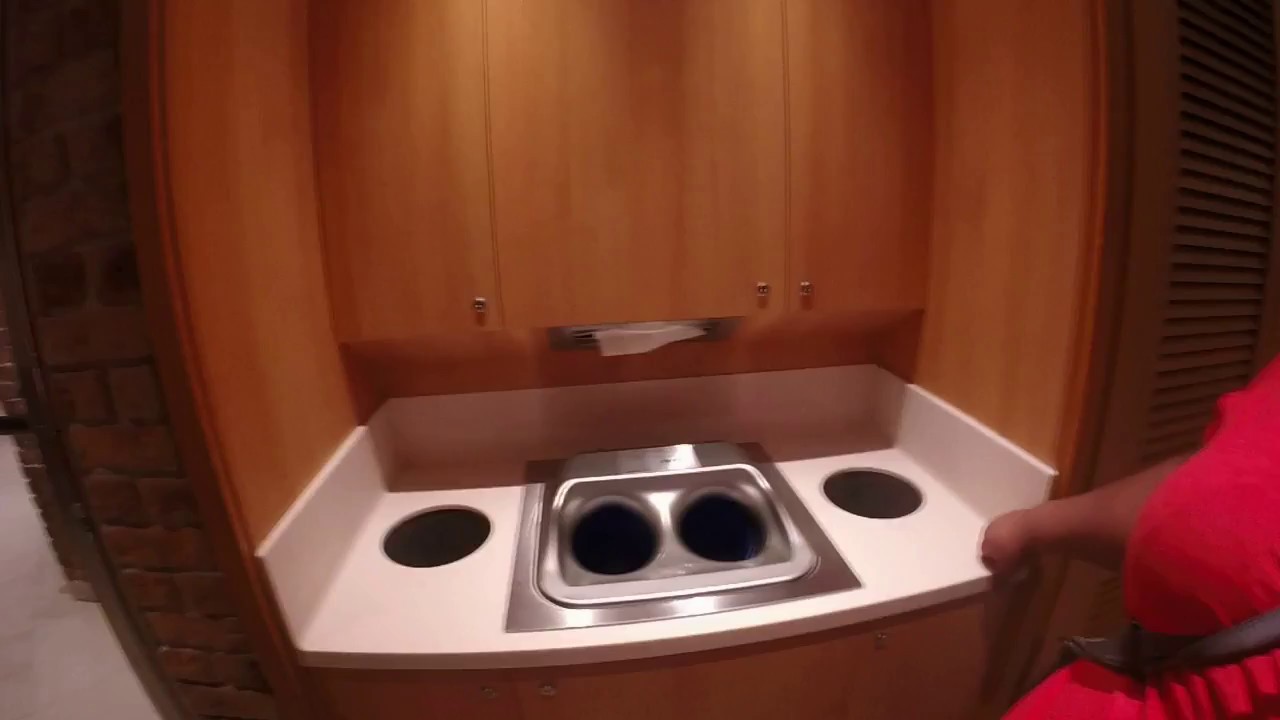 Carnival Vista Automatic Hand Washer!!! - YouTube