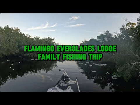 Everglades National Park Weekend: Flamingo Lodge, Fishing & Wildlife ...