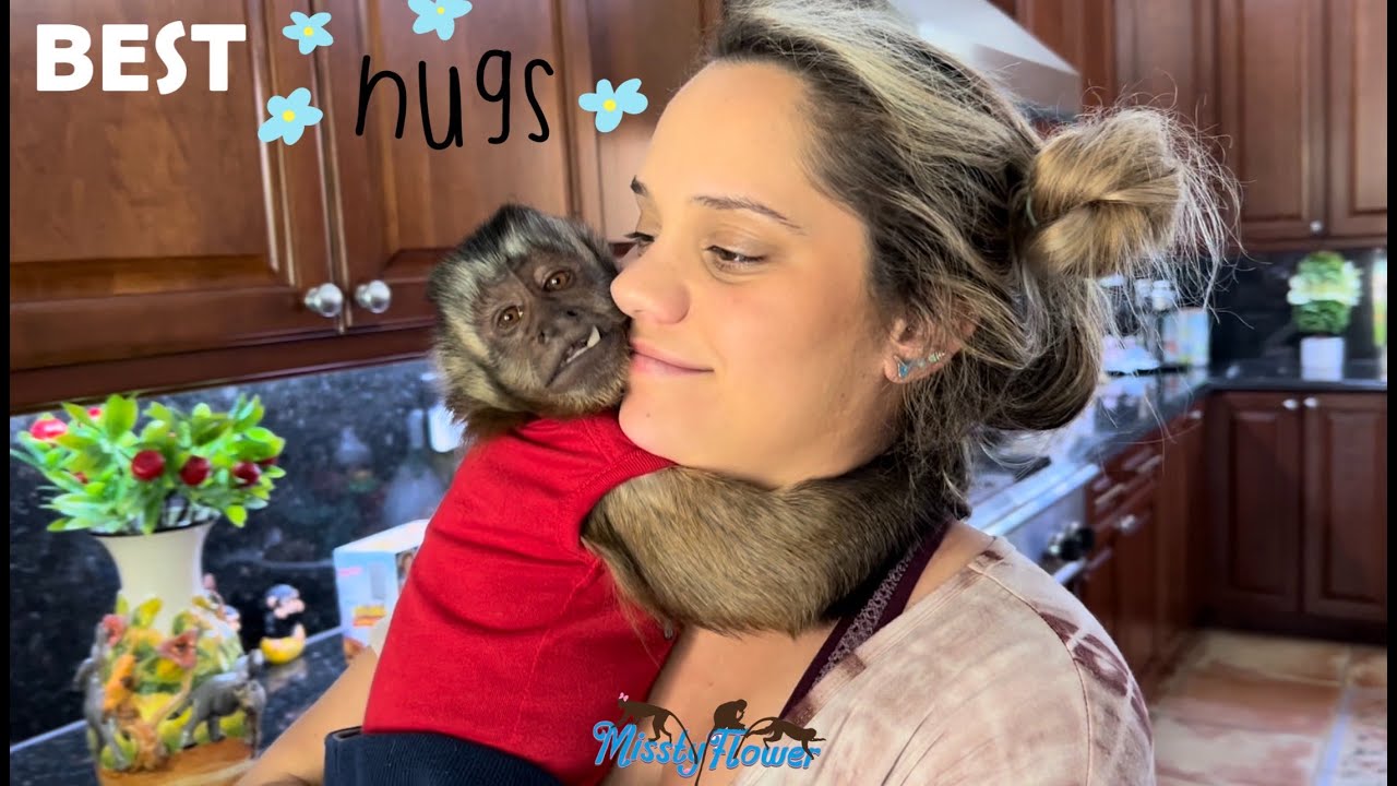 Best Monkey Hug from Monkey Russel 😍😂🤪 - YouTube