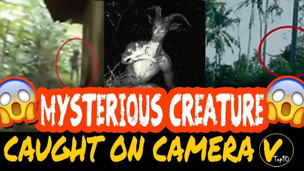 10 SCARIEST MYSTERIOUS CREATURE CAUGHT ON CAM - YouTube