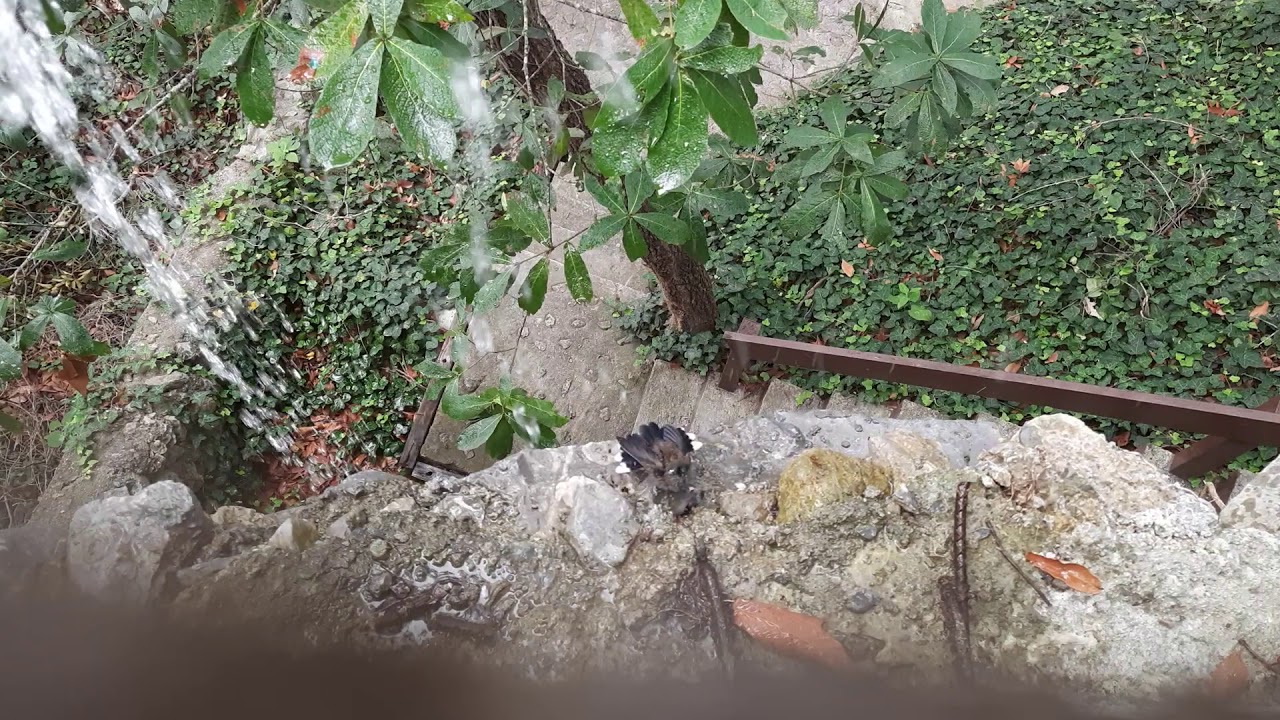 Nature 💖Apr-20💖 Plants Animals & Rocks https://www.facebook.com/groups ...