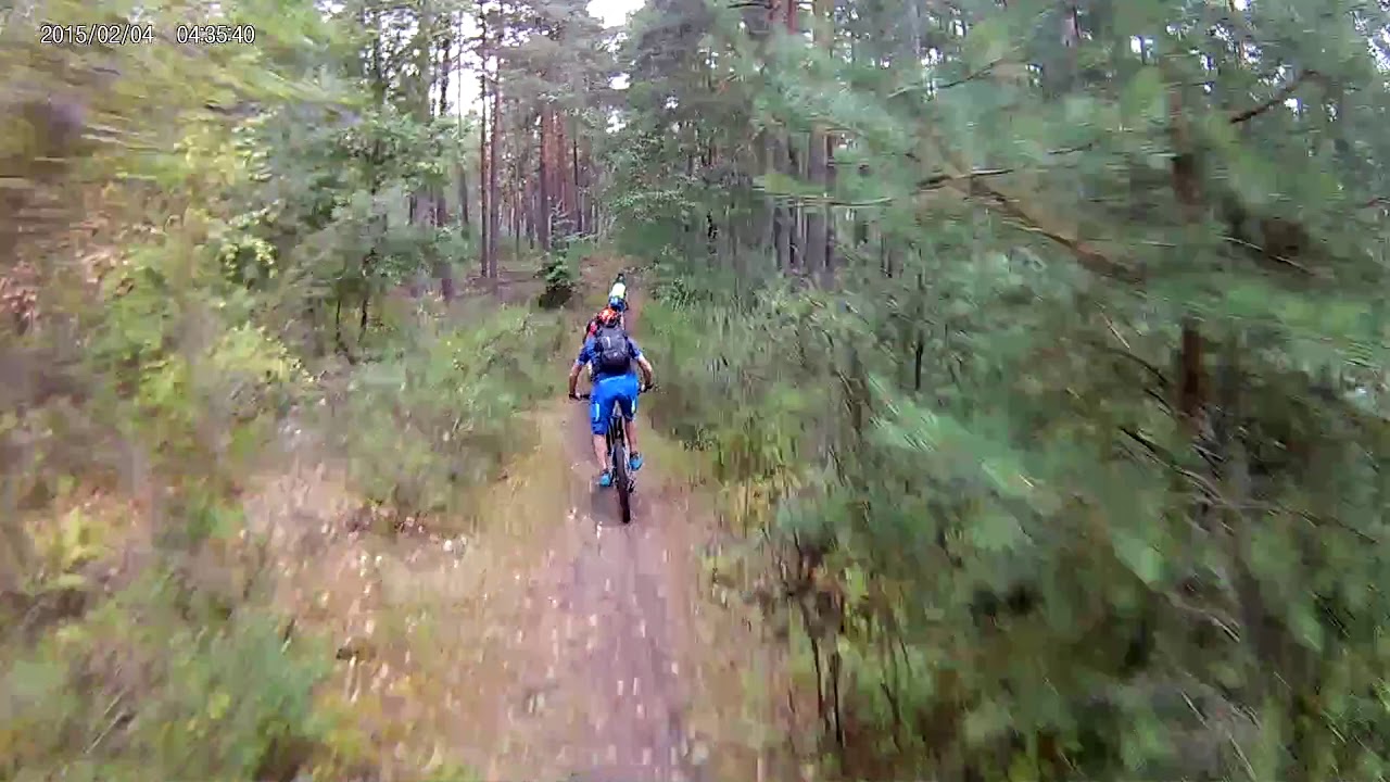 Pfälzerweinsteig vom Bismarkturm nach Düw 1 - YouTube