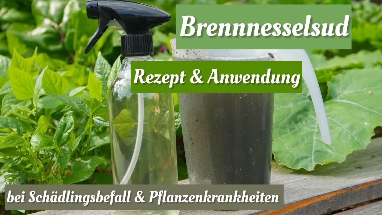 Kalk Gegen Brennesseln