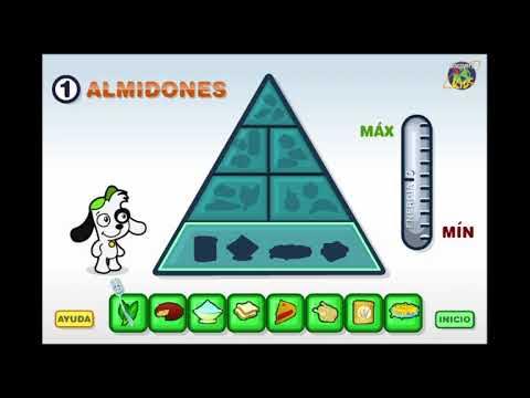 (¡Video nº 100!) Doki y los Alimentos - Discovery Kids - YouTube