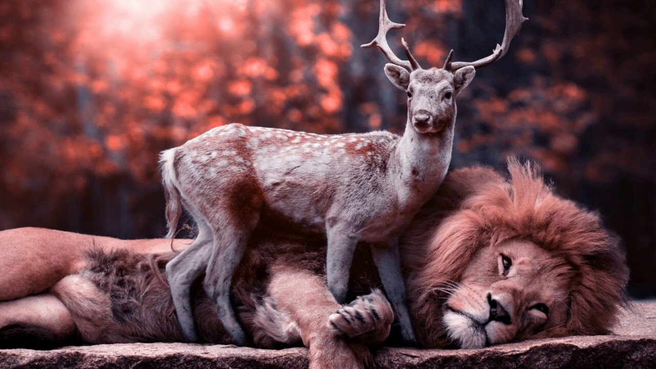 Amazing Transformational SHIFT ~ Breakthrough Miracles - RADIANCE ~ Kin ...