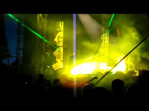 Bjork - Raise Your Flag! (Live 2007) - YouTube