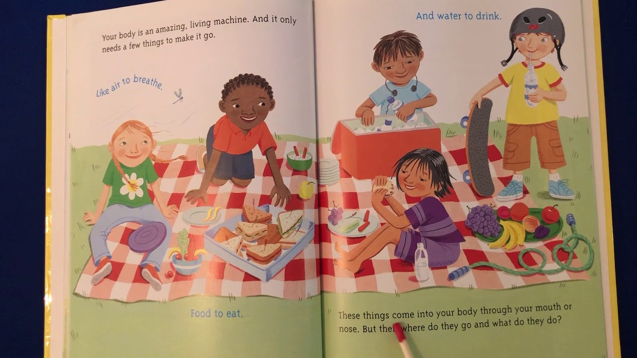 The Busy Body Book - YouTube