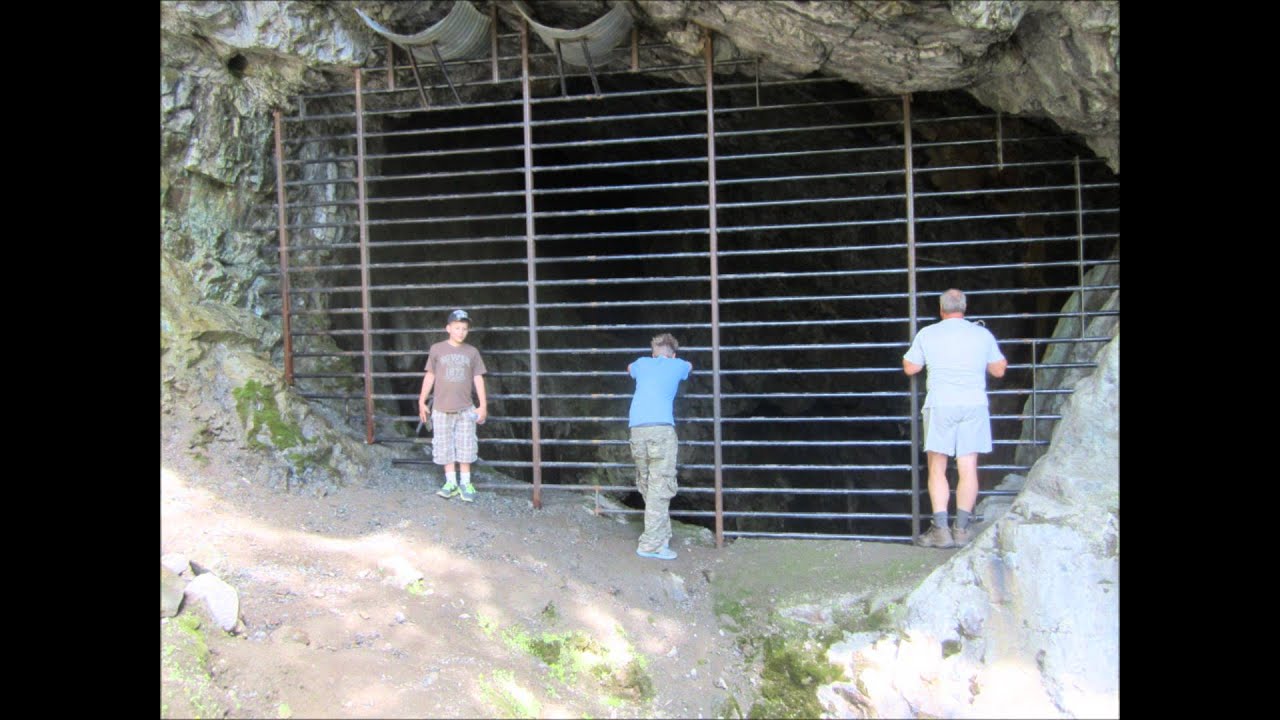 Habitat for Bats in the Old Queen Victoria Mine - Bat Habitat Facts - Bats and Their Habitats ...
