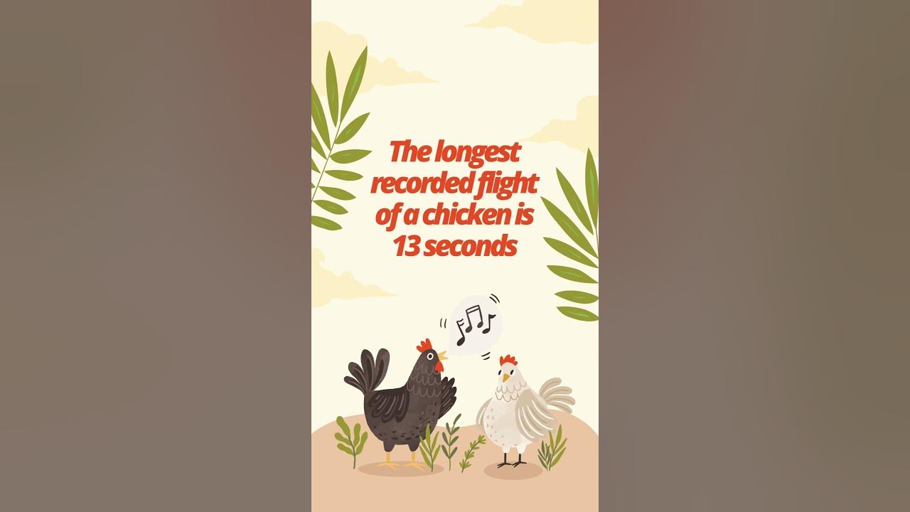 Fun Facts Of The Day YouTube fun-facts-of-the-day-youtube