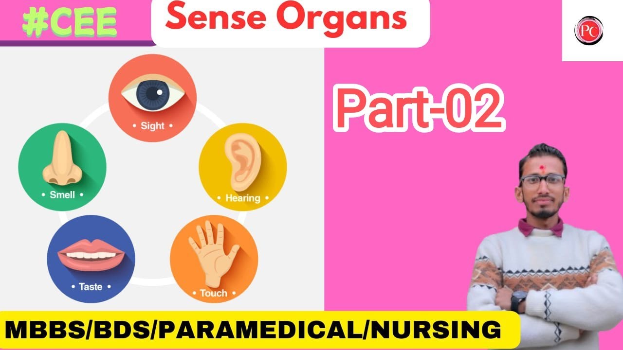 Sense Organs Part-02 | MBBS | BDS | Paramedical | Nursing | #eyes #ears ...