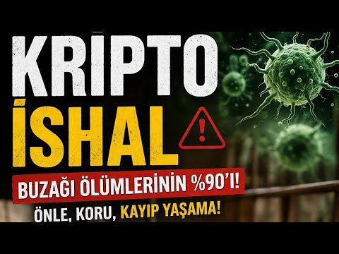 KRİPTO İSHAL: Buzağı Ölümlerinin %90’ı! Önlemini ve Tedavisini Bilmeden Girmeyin