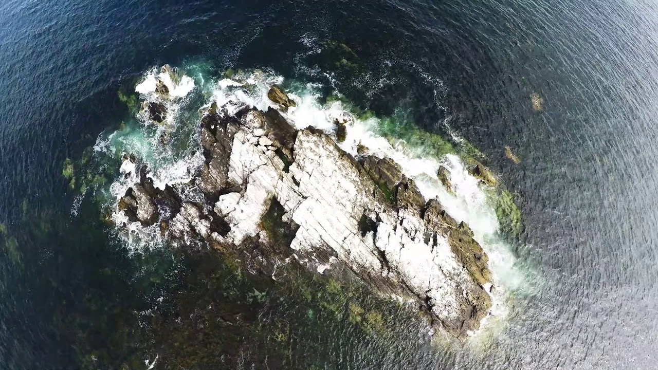 gal snir calm - YouTube