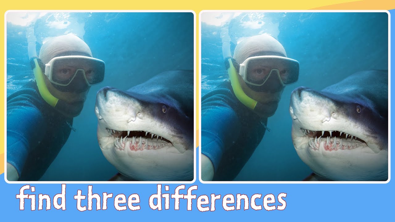 BRAIN GAME--Find Three Differences--#100 - YouTube